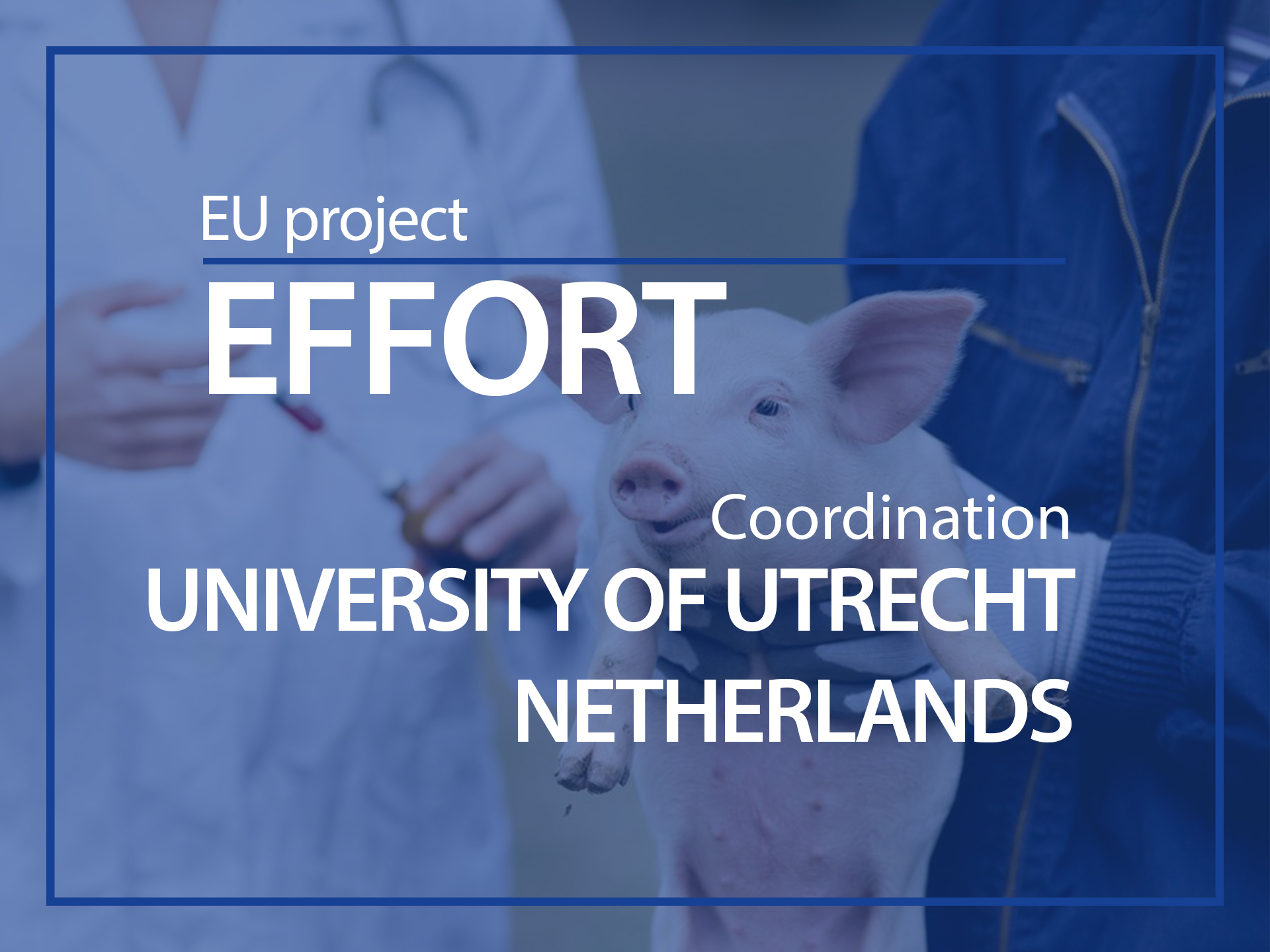 EU Project : EFFORT - ESMH