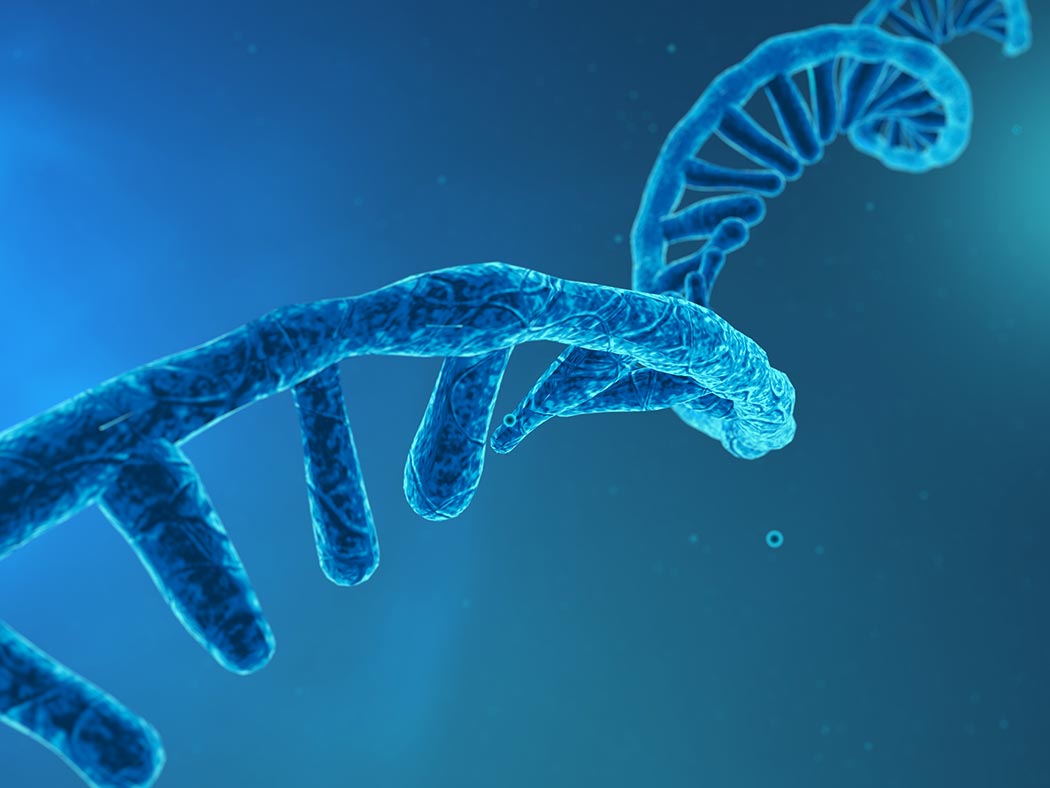 Interview with Annemieke Aartsma-Rus: 'RNA technology already helped ...